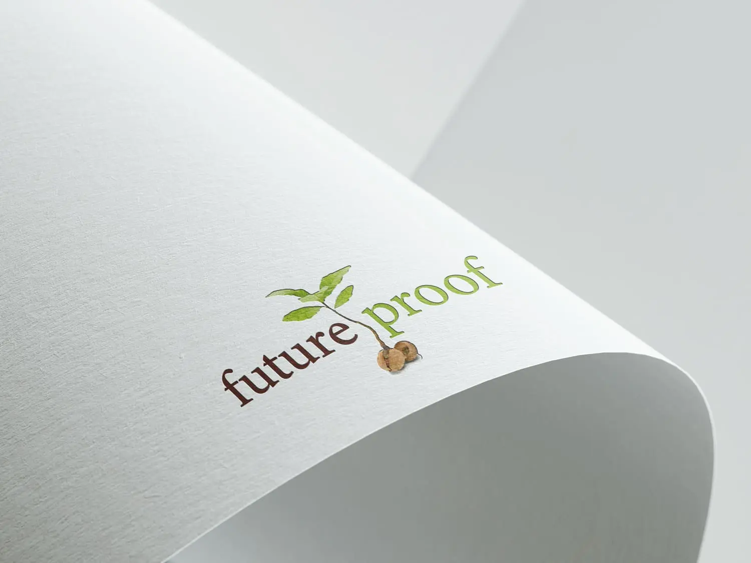 Long-term partnership with Future Proof Insurance